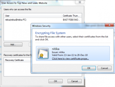 How to open an Encrypted File if Access Is Denied in Windows 11/10