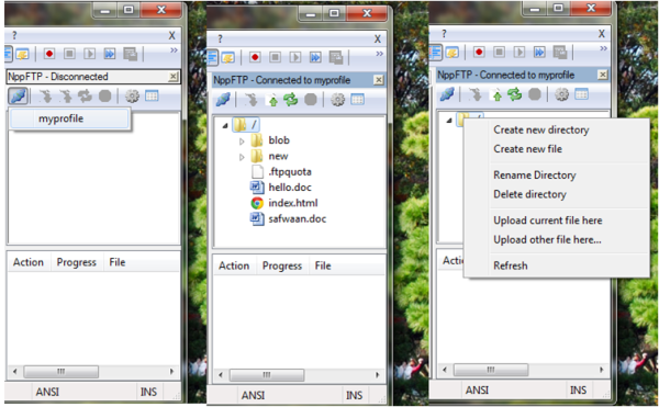 How to access FTP Server using Notepad++