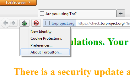 Tor Browser Review: How to Download and use Tor browser