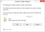Folder Merge Conflict in Windows 11: How to Enable or Disable it?