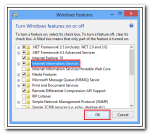 Turn on IIS or Internet Information Services on Windows Server
