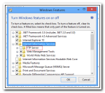 Turn on IIS or Internet Information Services on Windows Server