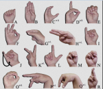 How to create Image-based Flash Cards in OneNote