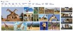 Bing Image Search Features explained