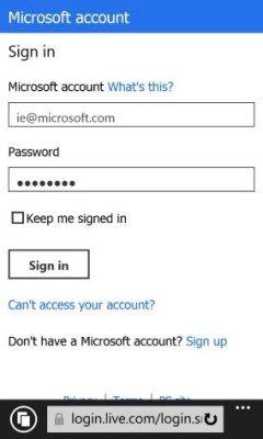 How Internet Explorer 11 now stores Passwords