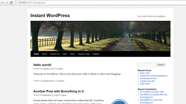 How to install WordPress on Windows systems