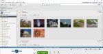 Picasa desktop application download for Windows PC