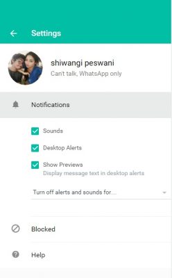 WhatsApp Desktop App: Install, Use and Features