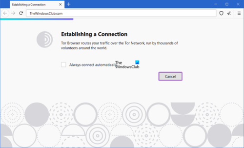 Tor Browser Review: How to Download and use Tor browser
