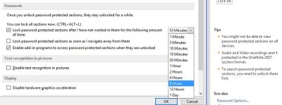 How to password protect OneNote notebook