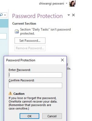 How to password protect OneNote notebook