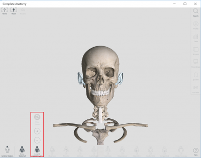 Best free 3D Human Anatomy software for Windows PC