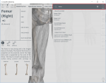 Best free 3D Human Anatomy software for Windows PC