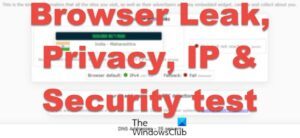 Browser Leak, Privacy, IP and Security test to test web browser