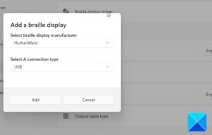 How to download and use Braille in Windows 11