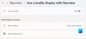 How to download and use Braille in Windows 10