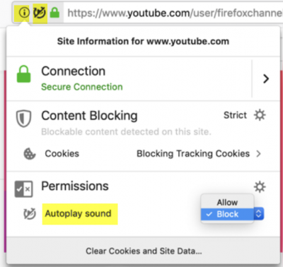 Mute or Turn off Sound in auto-playing Video on any website