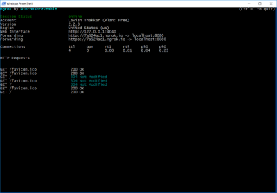 Make your Local Servers public with Secure Tunnels with ngrok