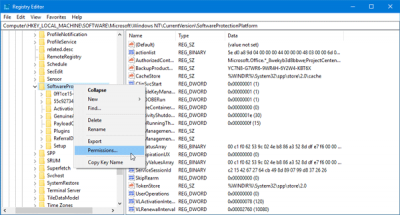 Windows could not start the Software Protection service