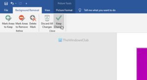 Remove the Background of a Picture with Word