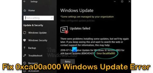 Fix 0xca00a000 Windows Update failed to install error