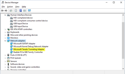 Teredo Tunneling Pseudo-Interface missing on Windows 11