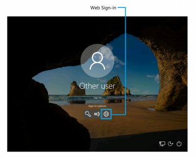 Web sign-in, Faster sign-in, Biometrics login in Windows 11/10