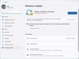 Fix Windows Updates Errors in Windows 11/10