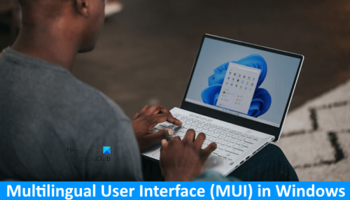 Install Multilingual User Interface (MUI) in Windows 11/10