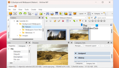 XnView lets you view and convert graphic files