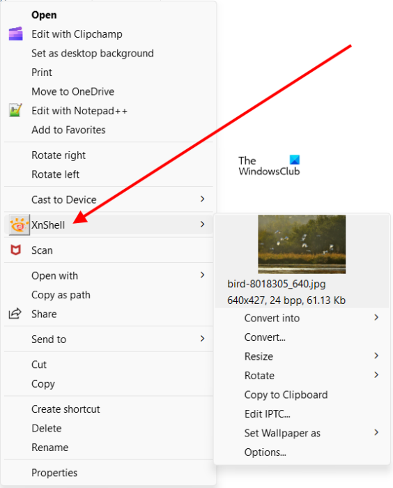 XnView lets you view and convert graphic files