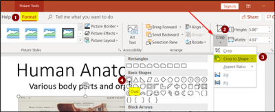 How to use Zoom animation in a PowerPoint Slide