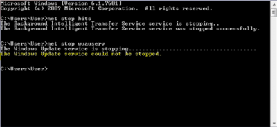 The Windows Update service could not be stopped [Fix]