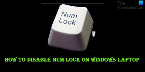 How to turn off or disable Num Lock on Windows laptop