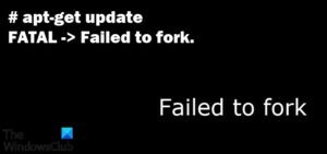Fatal, Failed to Fork error with Ubuntu on Windows 11/10