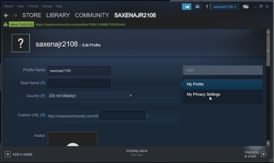 How to hide Steam Game Activity from friends