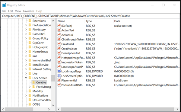 How to turn on Windows Spotlight Like What You See option