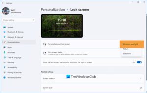 How to turn on Windows Spotlight Like What You See option