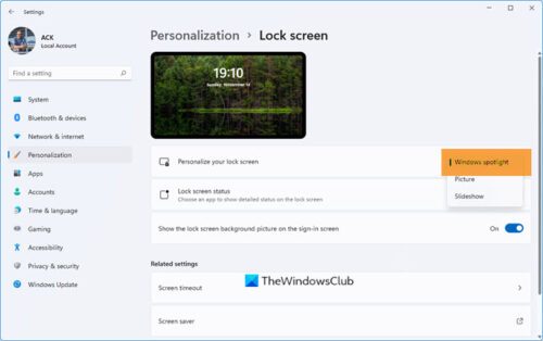 How to turn on Windows Spotlight Like What You See option
