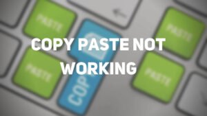 Copy and Paste not working in Windows 11
