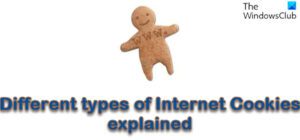 What are Computer Cookies? Types of Internet Cookies explained
