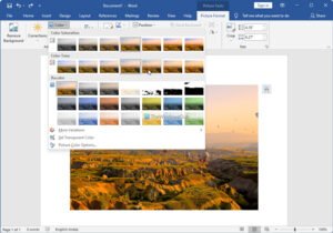 How to edit Images in Word using Picture Editing Tools