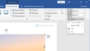How to edit Images in Word using Picture Editing Tools