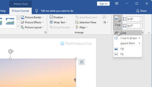 How to edit Images in Word using Picture Editing Tools