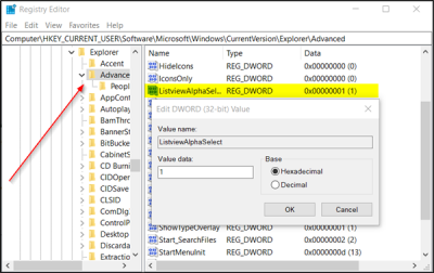 Hide or show translucent Selection Rectangle in Windows 11