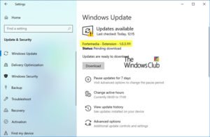 What is the Fortemedia Extension Update in Windows?
