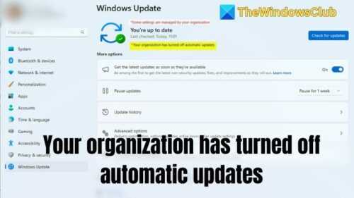 Your organization has turned off automatic updates in Windows 11