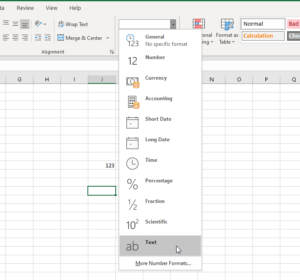 How to add Zero in front of number in Excel and Google Sheets