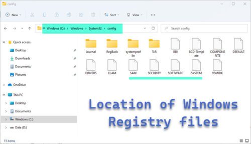 Where are the Windows Registry files located in Windows 11