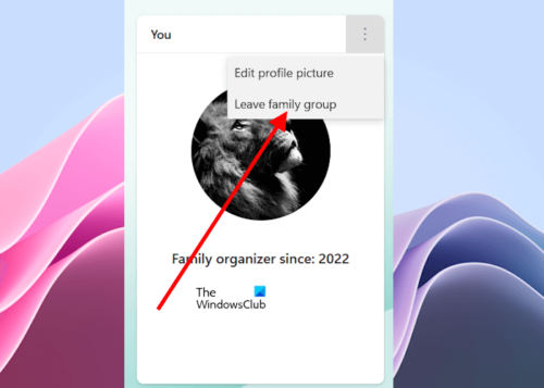 How to turn off Microsoft family features pop up in Windows 11/10